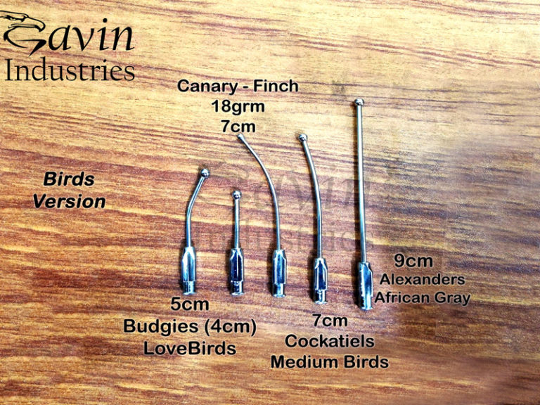 Crop Needles Veterinary Feeding Set - Birds Version - Gavin Industries